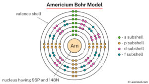Americium Bohr Model - Learnool