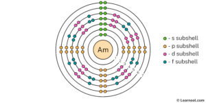 Americium Bohr model - Learnool